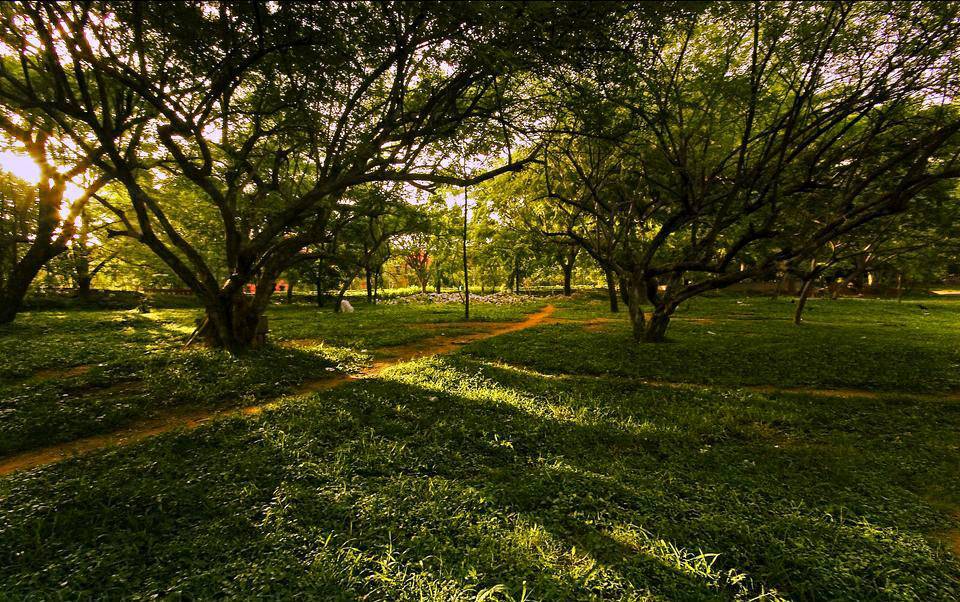 Bangalore Tourism | Bangalore Tour & Travel Guide at WeAreHolidays