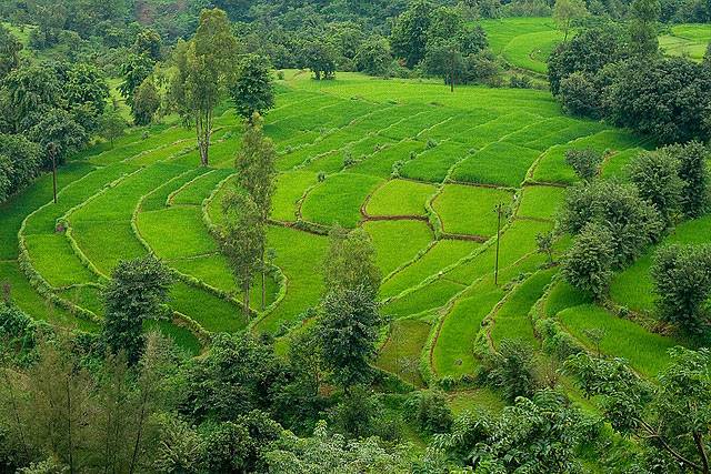 Chiplun Tourism | Chiplun Tour & Travel Guide at WeAreHolidays